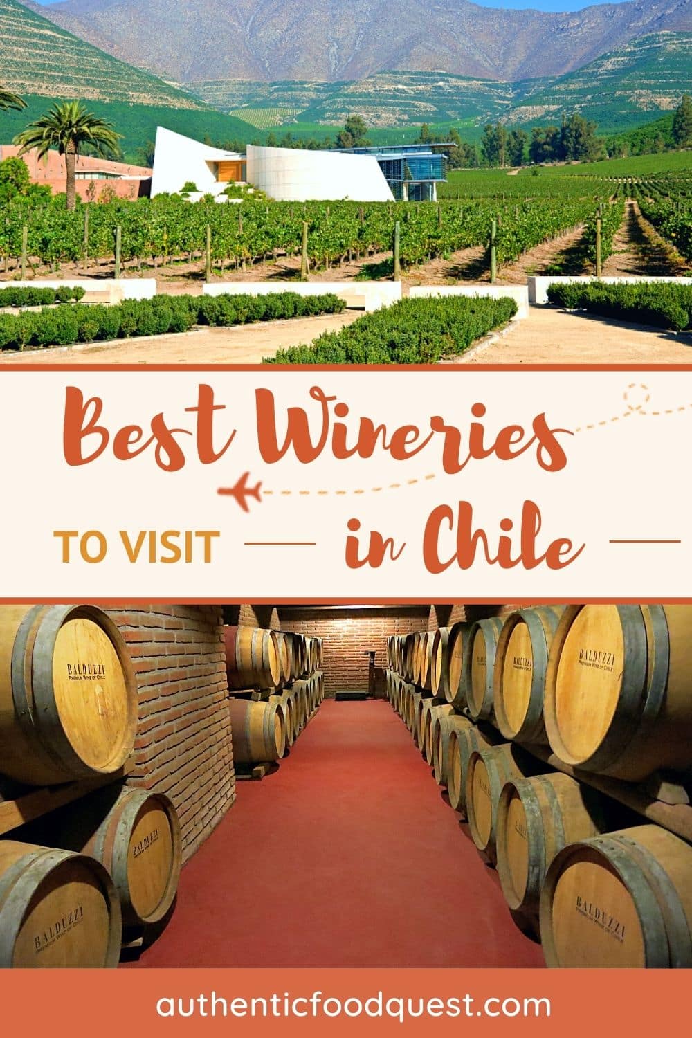 Chilean Wine Regions: 15 Top Wineries You’ll Want To Visit
