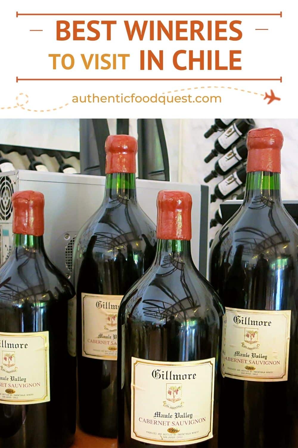 Chilean Wine Regions: 15 Top Wineries You’ll Want To Visit