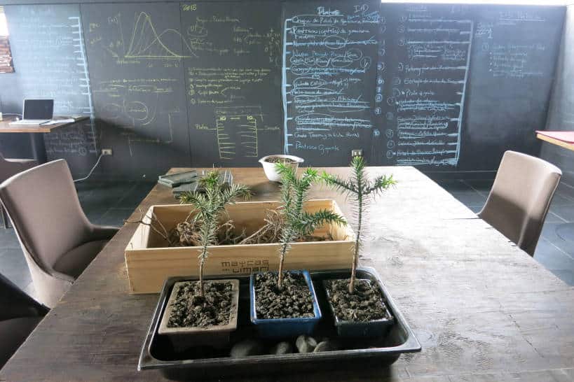 Borago With Rodolfo Guzman: Top Restaurant In Santiago Chile - Review