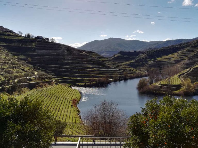 How To Taste The Amazing Port Wines In Porto - Authentic Food Quest