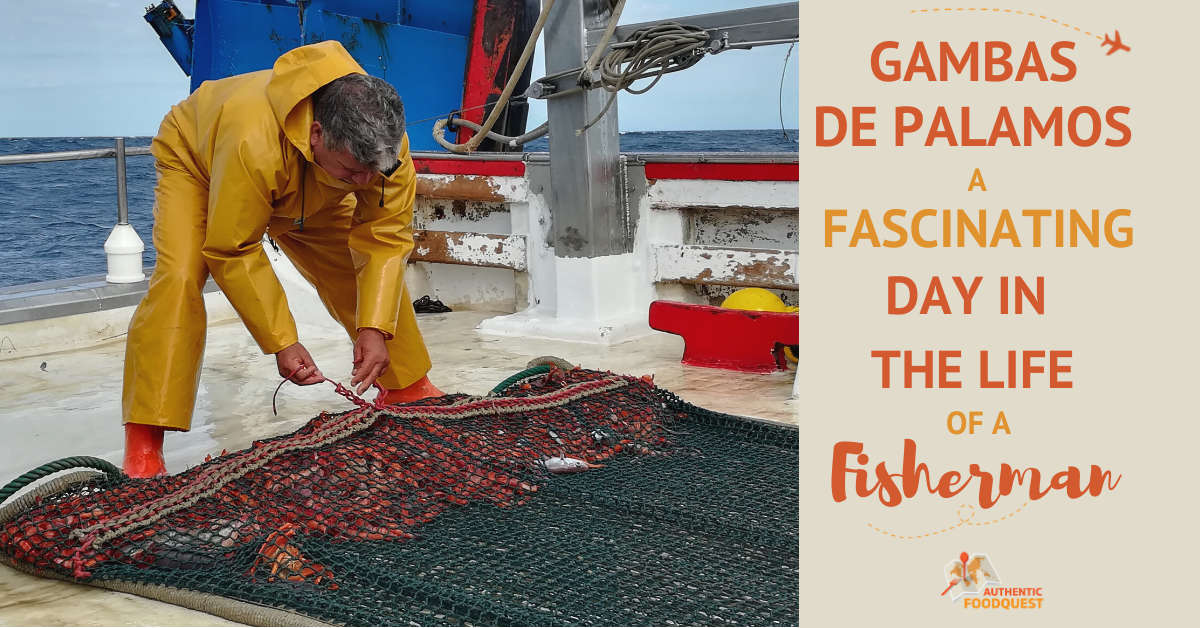 Gambas de Palamos: A Fascinating Day in the Life of a Fisherman