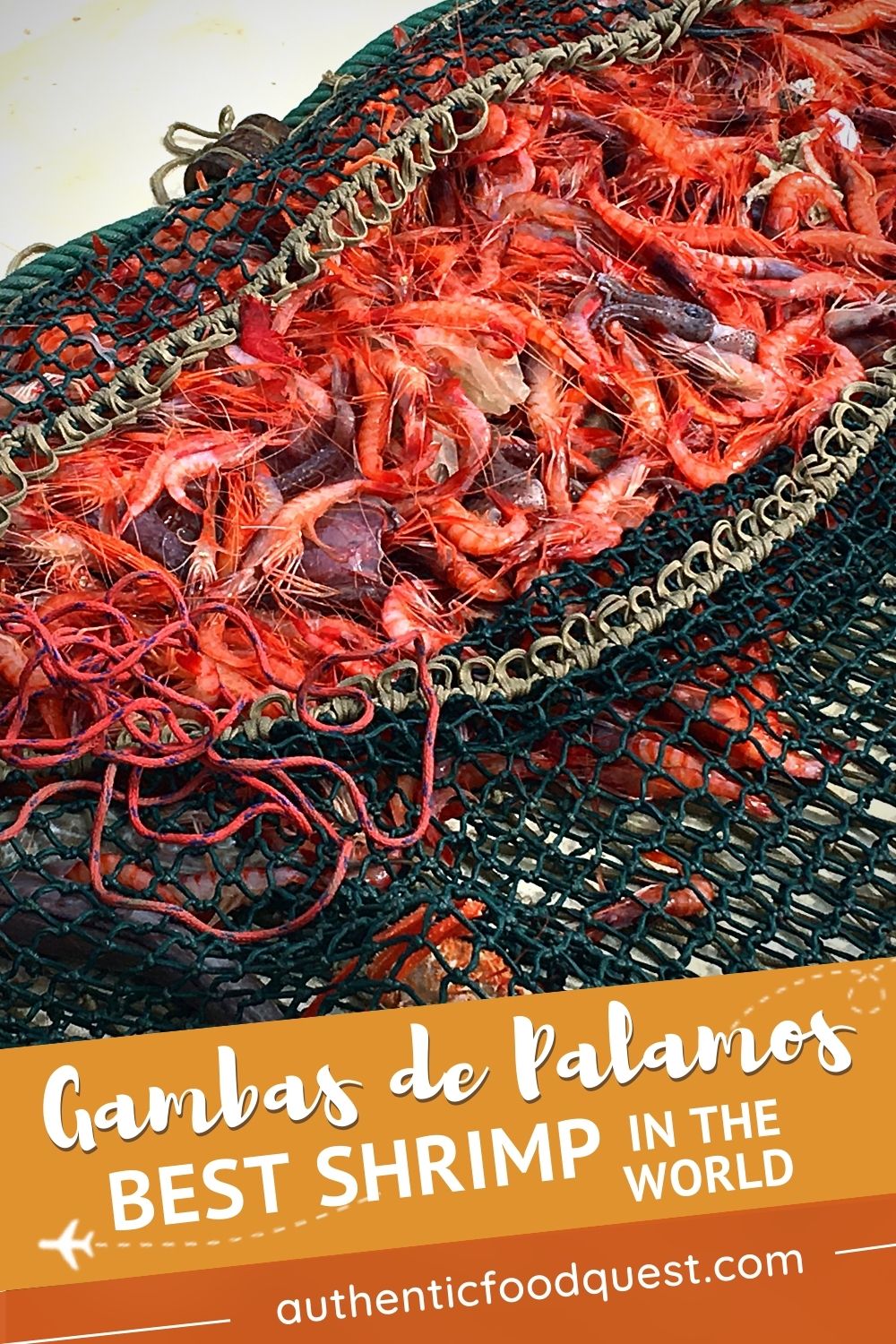 Gambas De Palamos: A Fascinating Day In The Life Of A Fisherman