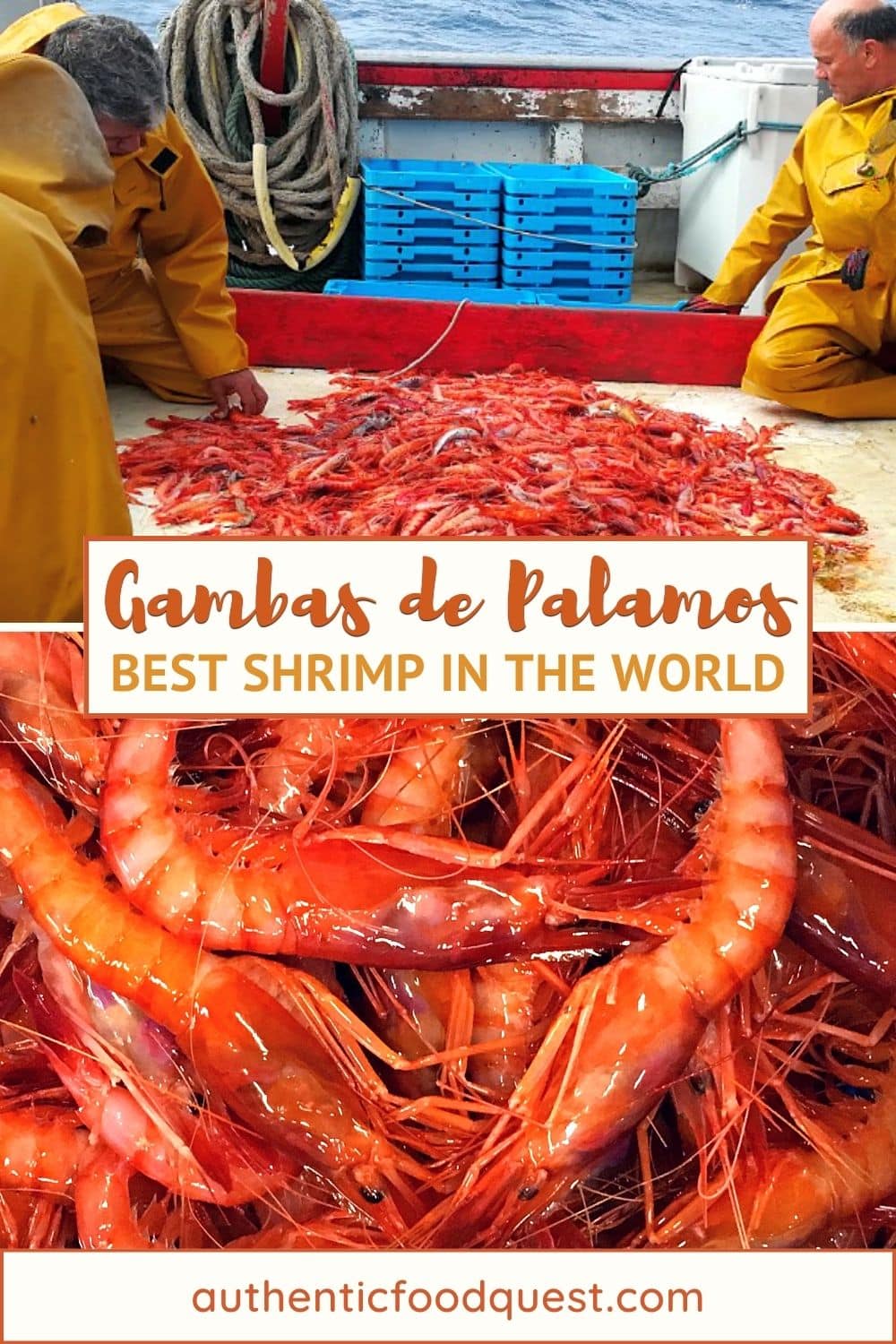 Gambas De Palamos: A Fascinating Day In The Life Of A Fisherman