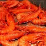 Gambas De Palamos: A Fascinating Day In The Life Of A Fisherman