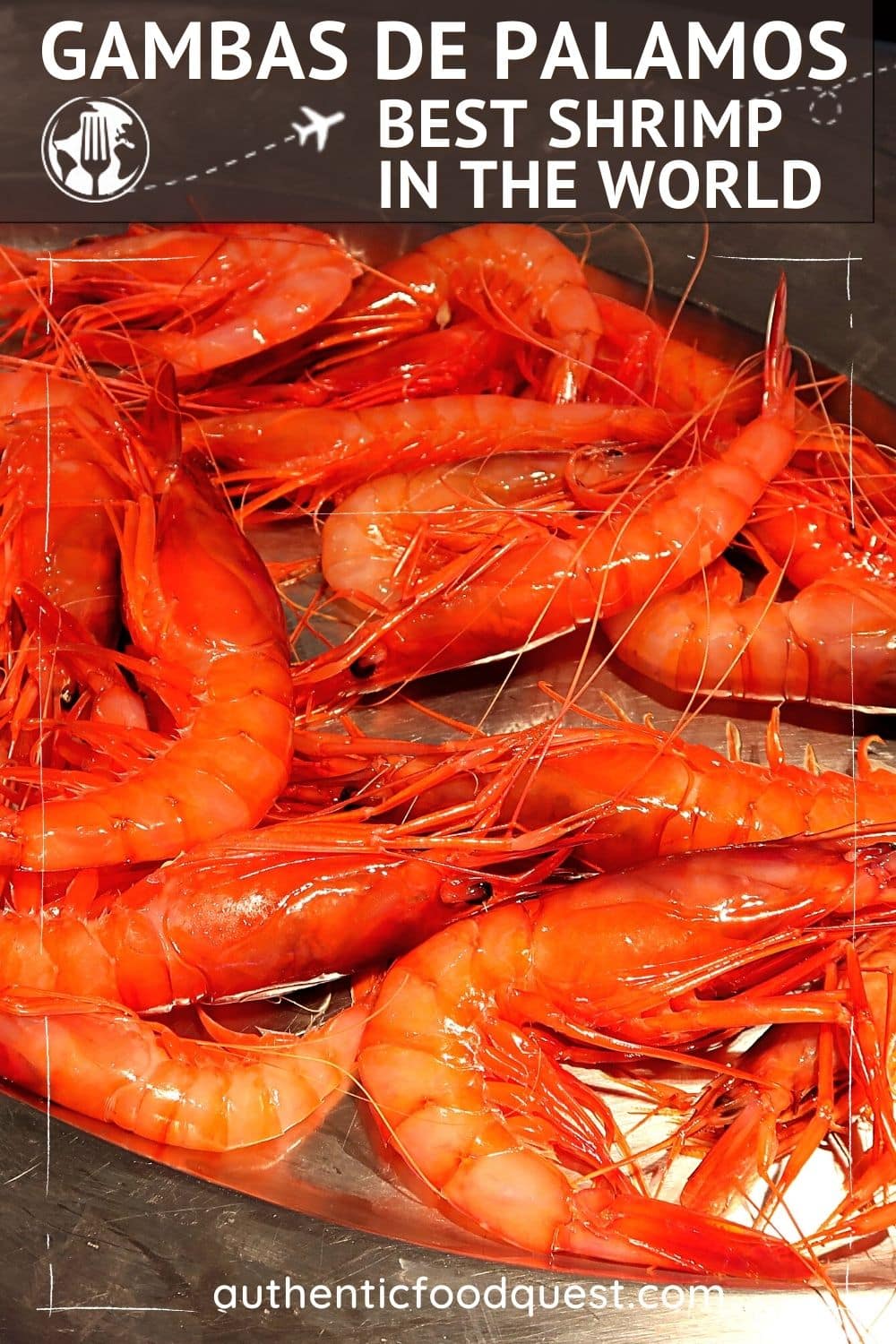 Gambas De Palamos: A Fascinating Day In The Life Of A Fisherman