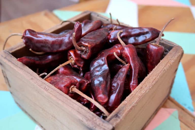 Oaxaca Foods: Your Best Guide To The Most Authentic Food