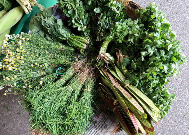 Oaxaca Foods: Your Best Guide To The Most Authentic Food