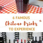 6 Famous Chilean Drinks To Experience Like A Local