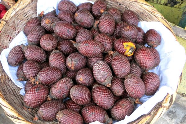 Peru - Food Destinations - Authentic Food Quest