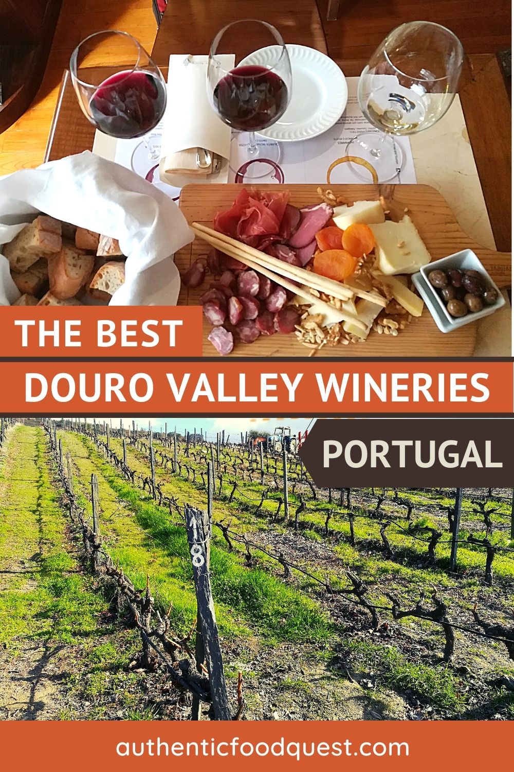 5 Of The Best Wineries In Douro Valley Portugal You Should Visit