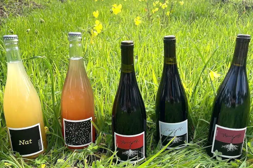 7 Best Natural Wine Clubs In 2024