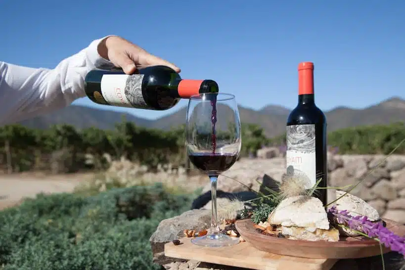 10 Best Wine Tours In Santiago: A Guide To Chilean Wine Tasting