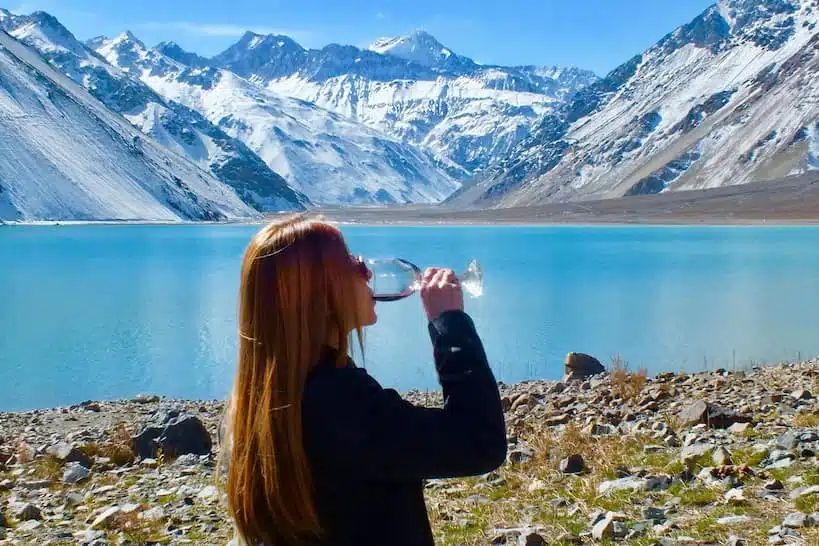 10 Best Wine Tours In Santiago: A Guide To Chilean Wine Tasting