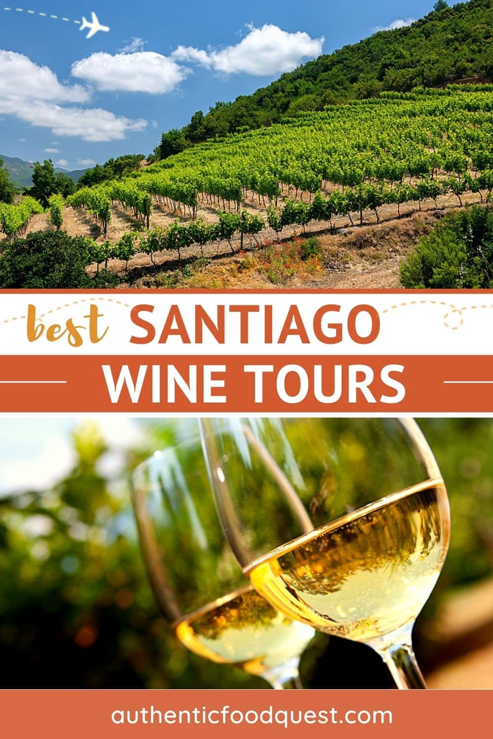 10 Best Wine Tours In Santiago: A Guide To Chilean Wine Tasting